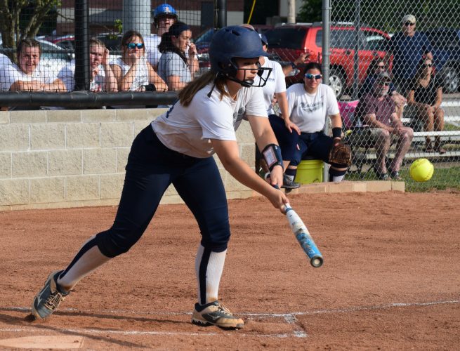 Blue Dons softball team returns home as sectional champions | News ...